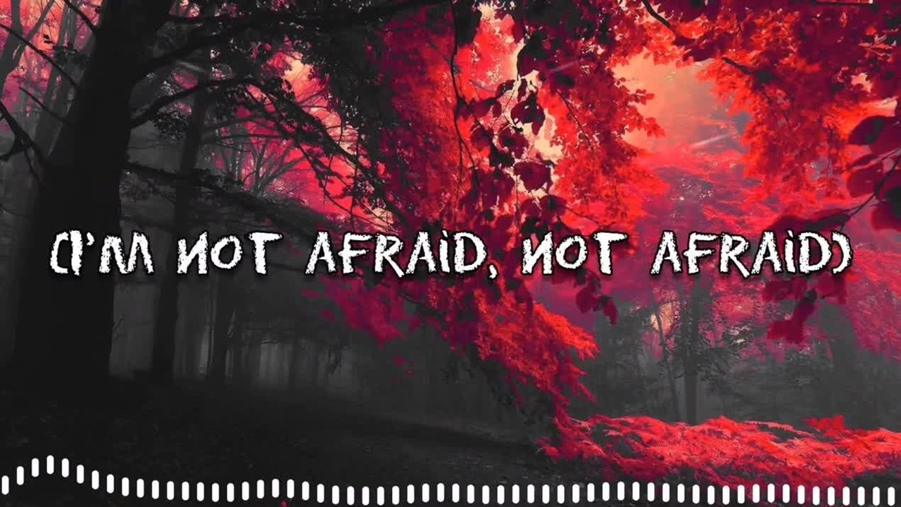 I'm not afraid >>> - نماشا