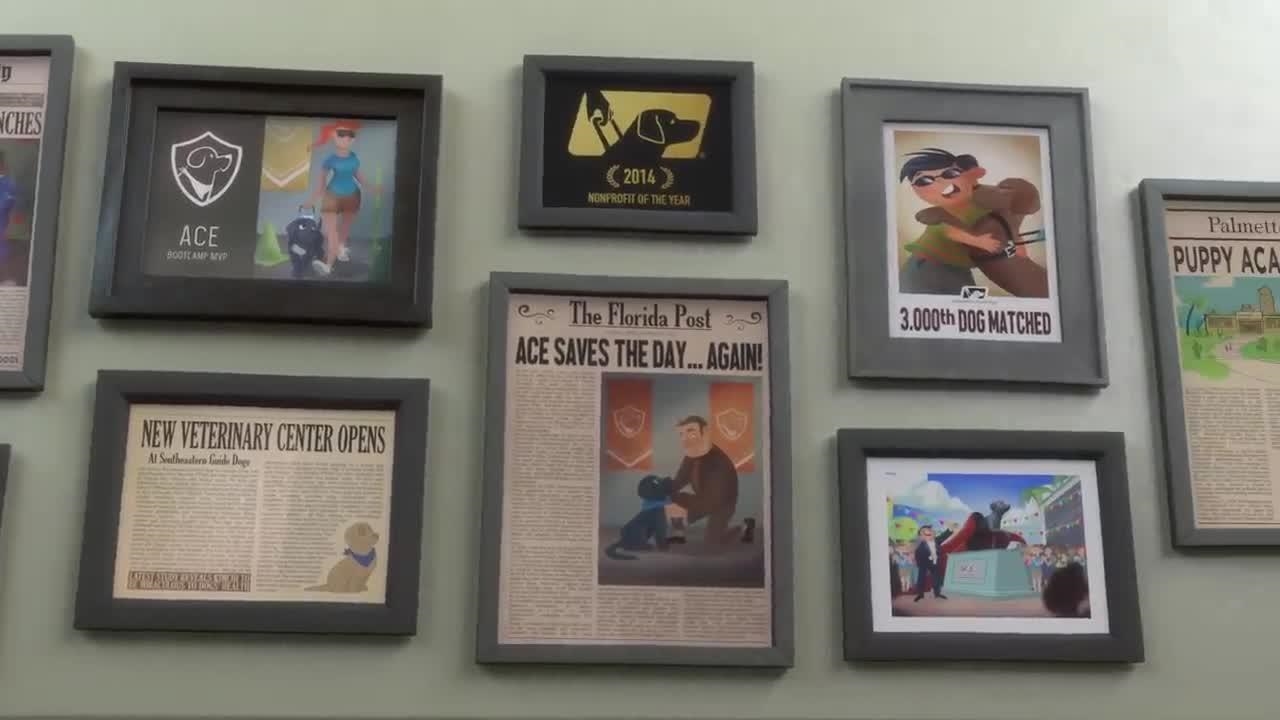 Pip | A Short Animated Film by Southeastern Guide Dogs - نماشا